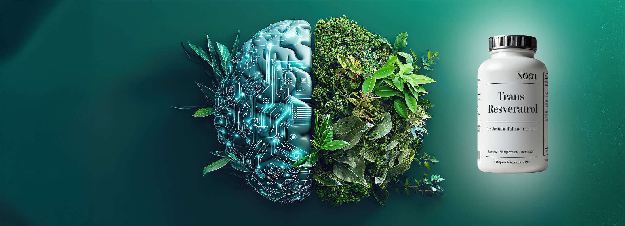 NØØT Trans-Resveratrol Supplement | Antioxidant, Longevity & Brain Support